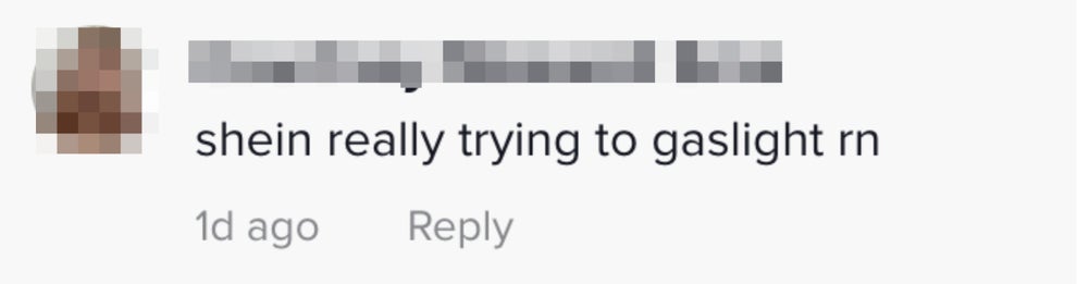 Reactions And Backlash To Influencers Visiting Shein