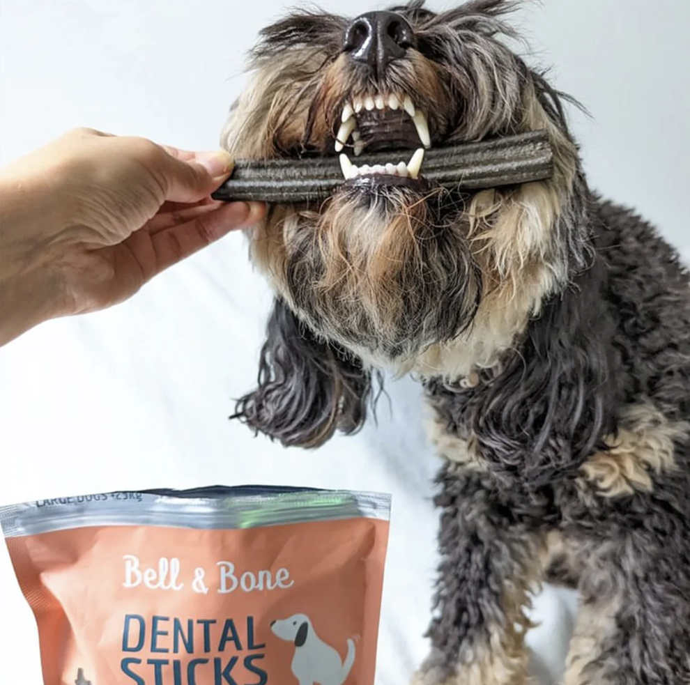 This Aussie Company Is Making Doggy Dental Care Easy