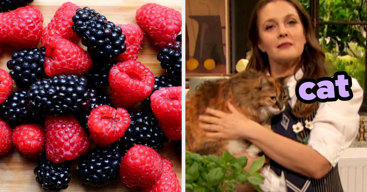 Food Quiz: Play This Or That See If You're Dog Or Cat