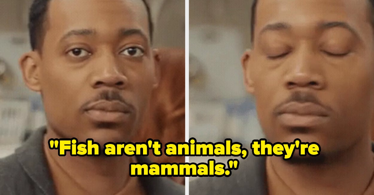 Stupid Things People Said