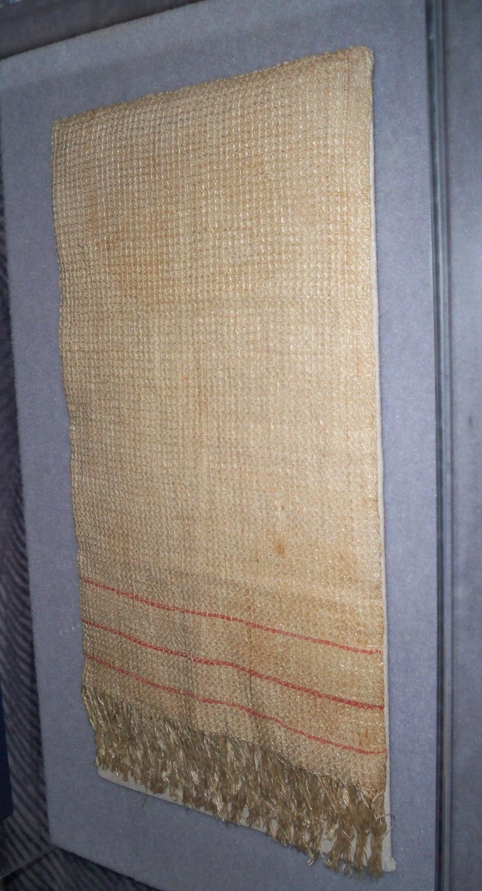 My Microscopic Little Pea Brain Is Totally Blown After Seeing These 60 ...