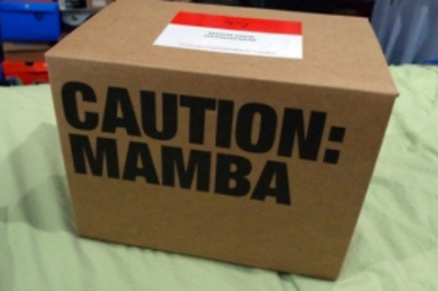 Nike's "CAUTION: MAMBA" Press Kit | Complex