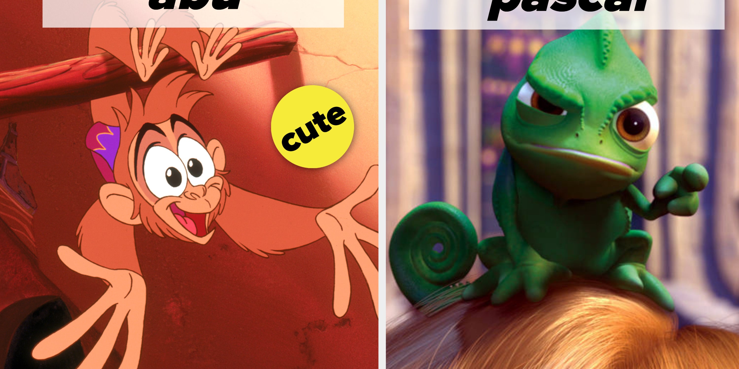 pascal tangled funny