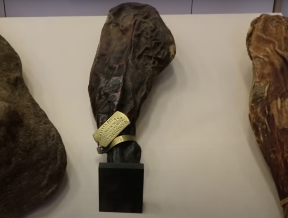 Photos Of Really Old Things That Are Still Alive Today