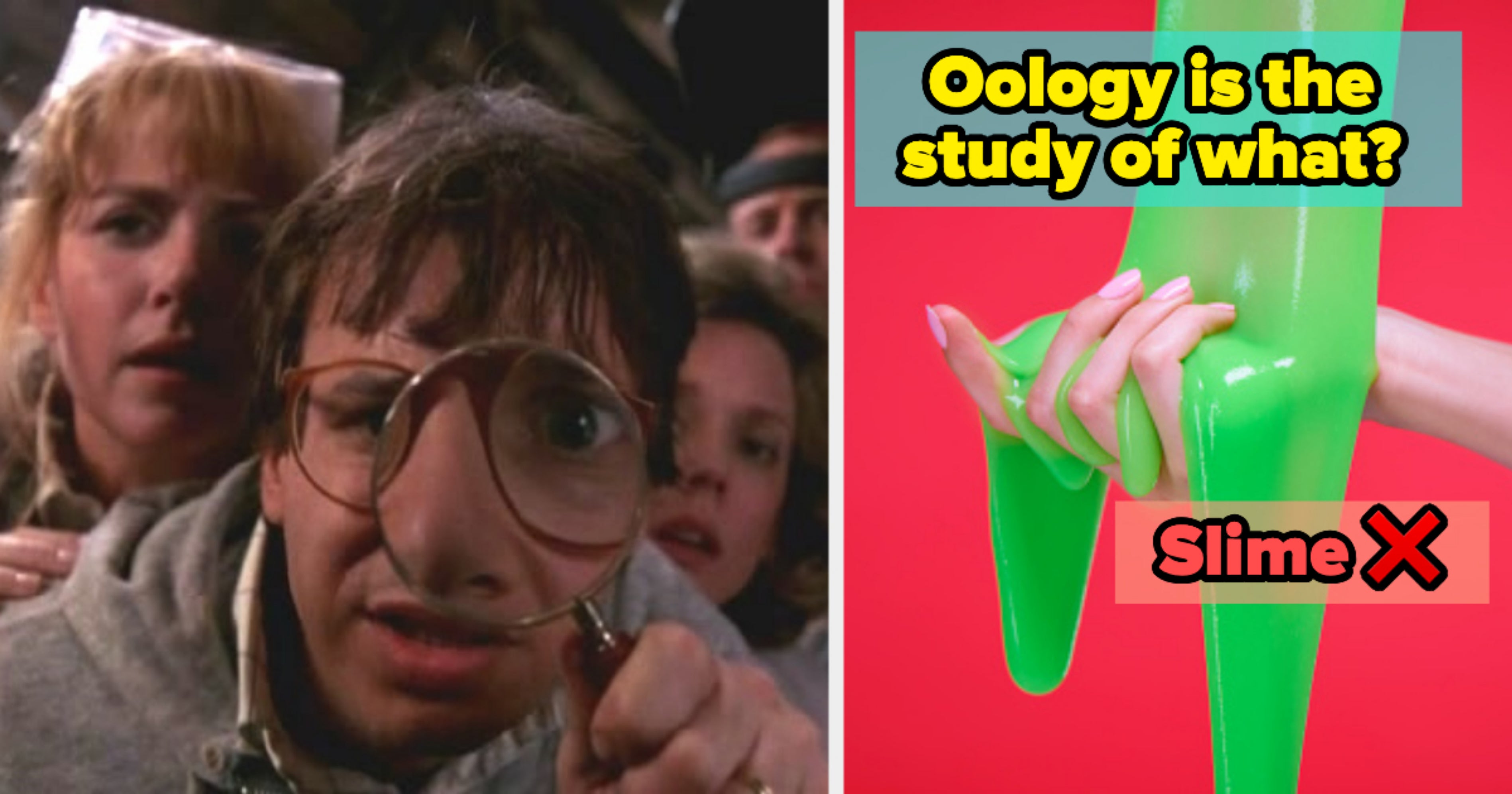 -Ology Word Origins And Meaning Trivia Quiz