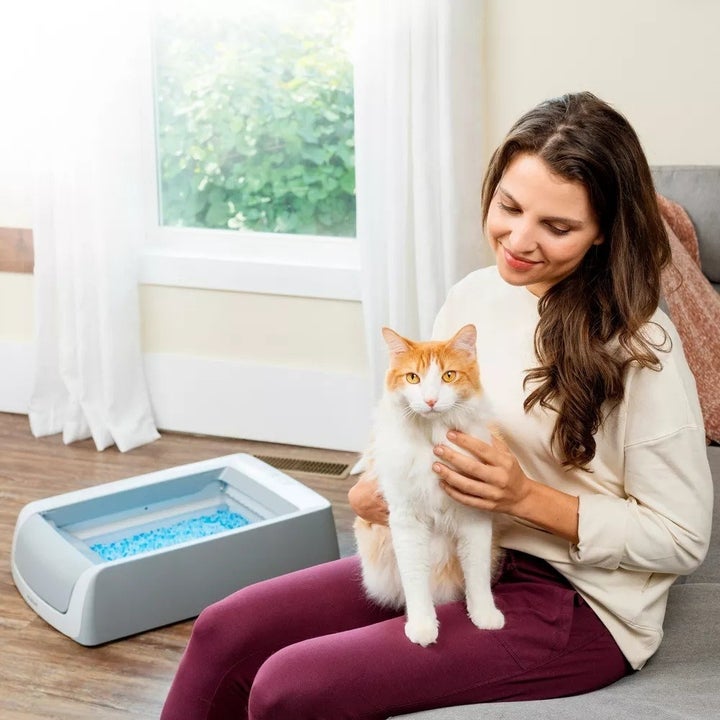 20 Target Products for Easier Pet Parenting