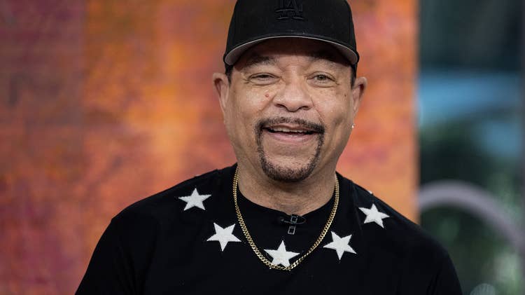 Ice-T Says Playing a Cop and Gangster Requires 'Exact Same Acting ...
