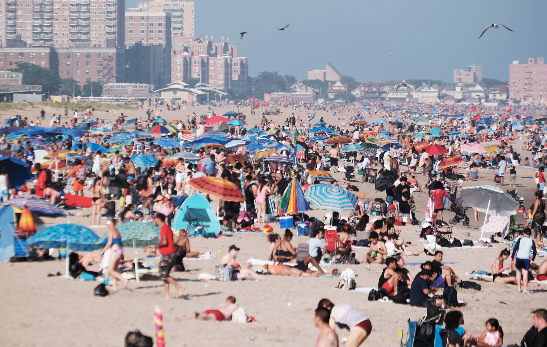 Over Half of U.S. Beaches Have Dangerous Fecal Contamination | Complex