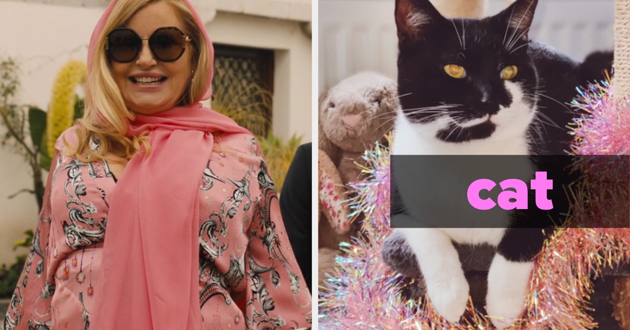 I'll Reveal Your Inner Animal, But First You Have To Plan An ...