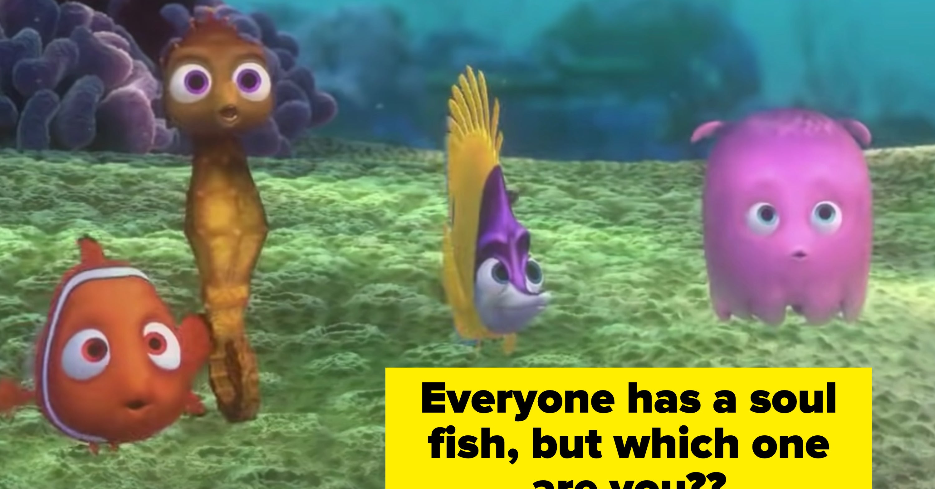 Quiz: What Is Your Soul Fish?