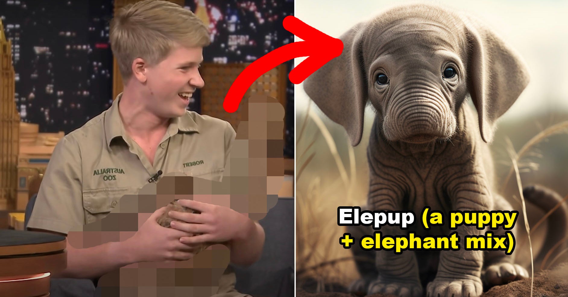 34 Animal Hybrids Morphed Together New Species