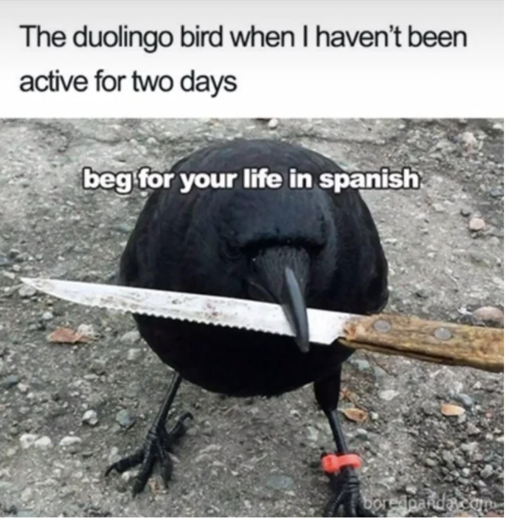 51 Duolingo Memes That Are Funny But Alarming