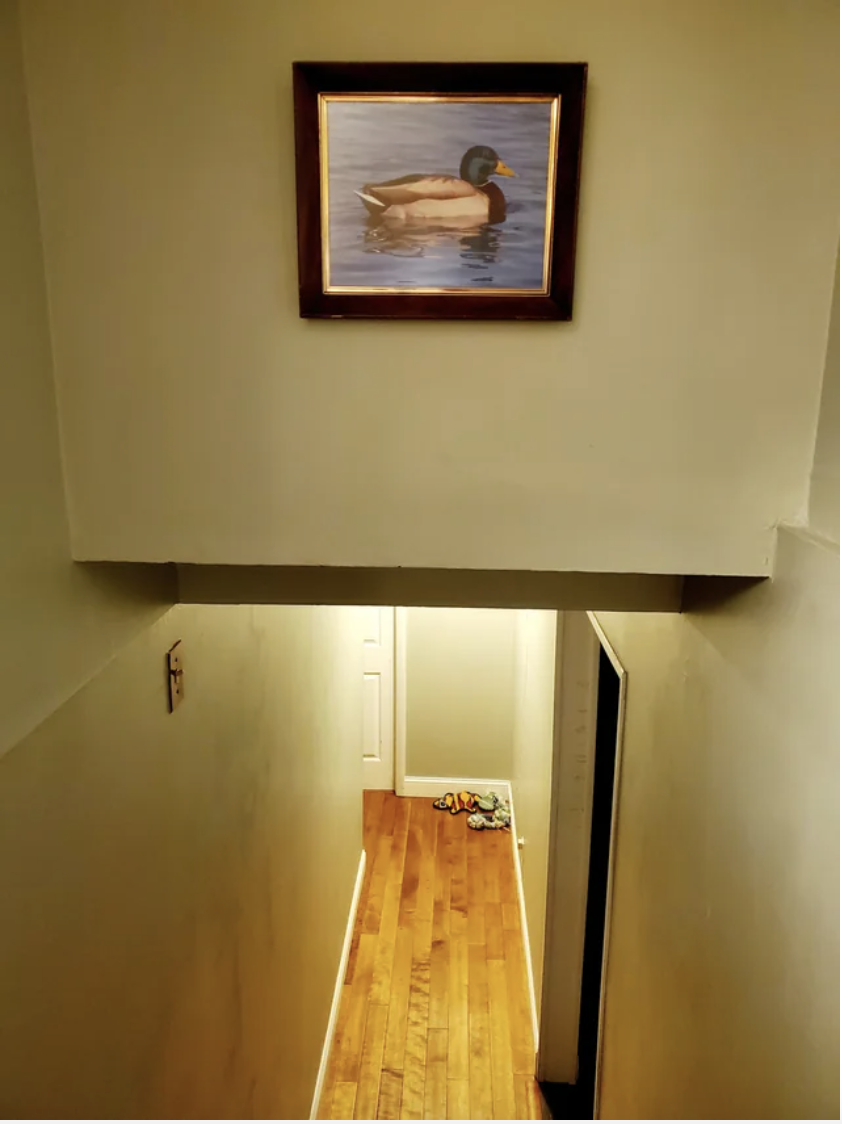 57 Unfortunate People You'll Feel Bad Laughing At