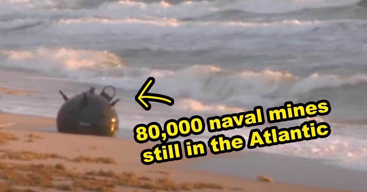 17 Ocean Facts That You Have To Sea To Believe