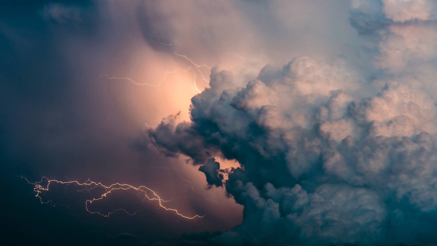 Lightning Strike Kills Over 30 Cows at Alabama Farm | Complex