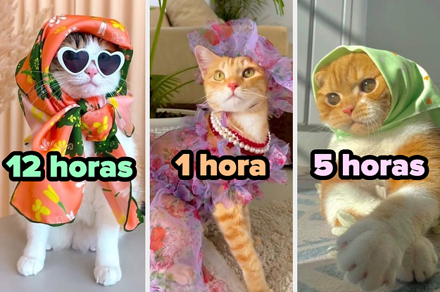 Puedo adivinar cuántas horas pasas a diario en Internet solo con tu ...