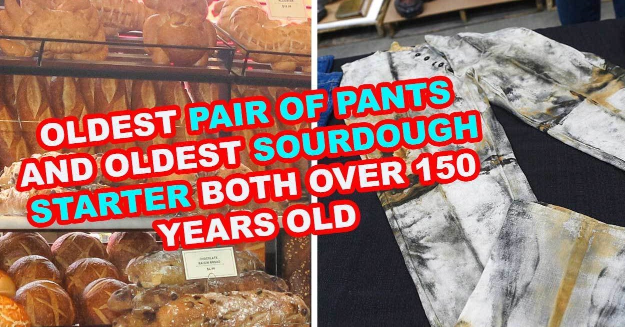 Photos Of Really Old Things That Are Still Alive Today