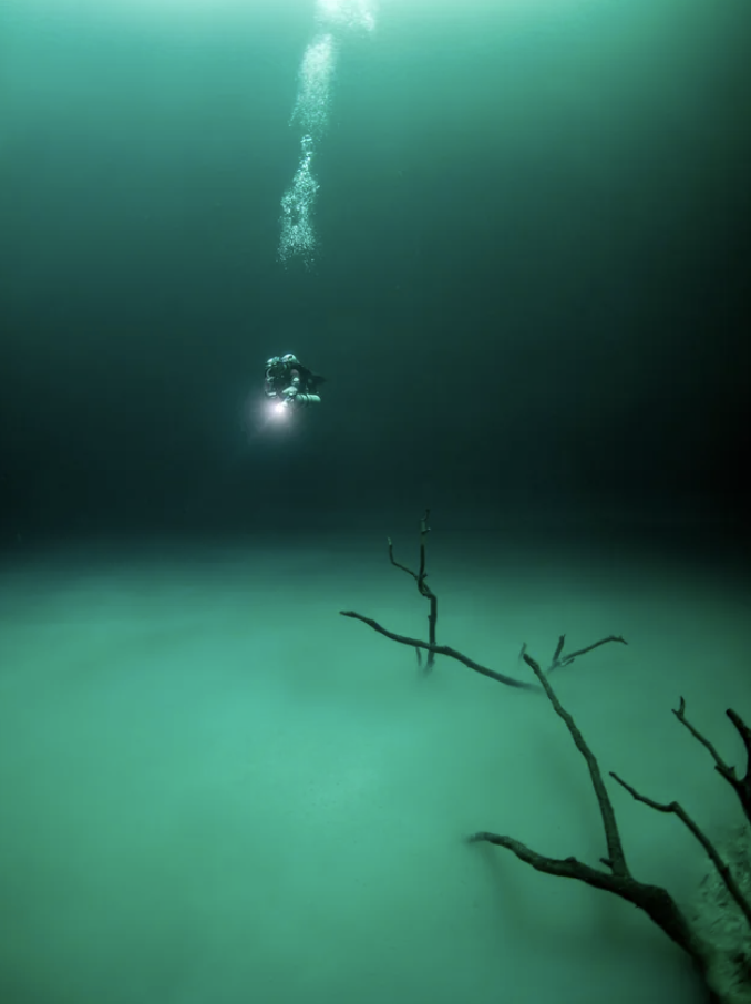 18 Horrifying Unsettling Photos