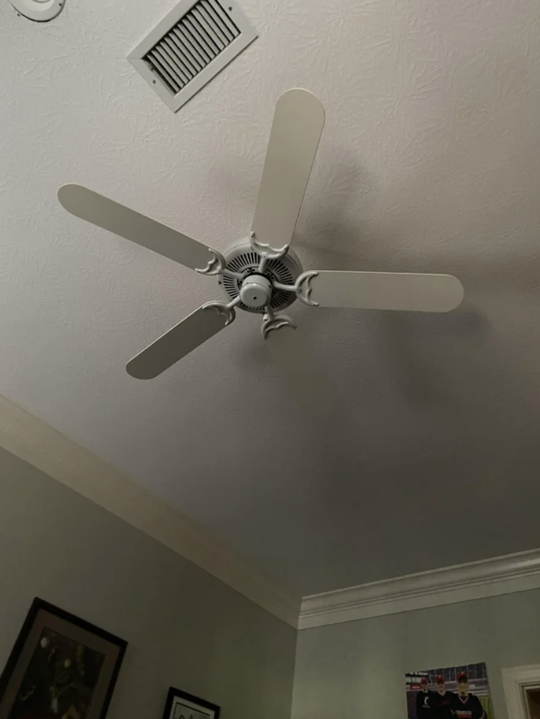 26 Weird Photos I Feel Like I Wasn't Supposed To See Reddit