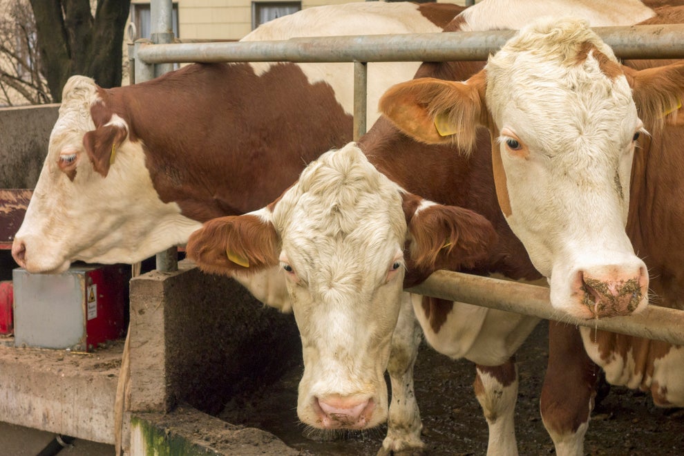 17 Normal Things In Society That Are Messed Up