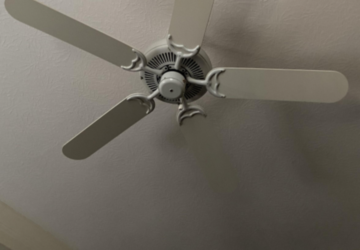 26 Weird Photos I Feel Like I Wasn't Supposed To See Reddit
