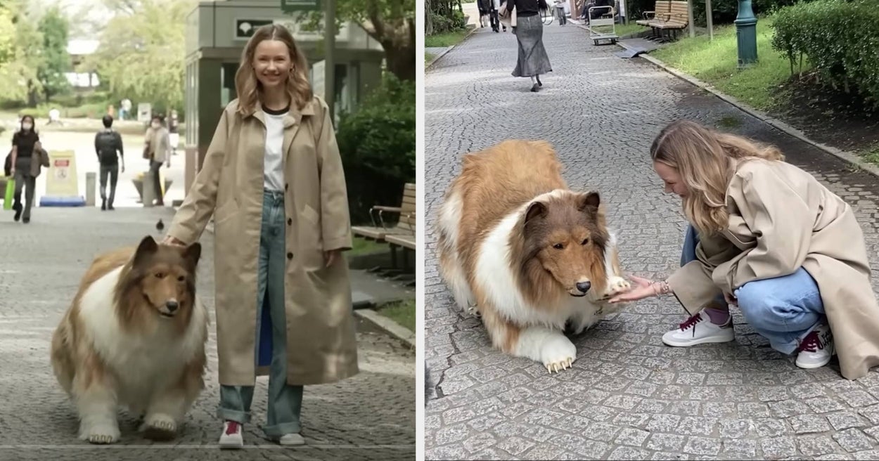 Viral Video: Man's Lifelike Collie Suit Transforms Him Into Animal