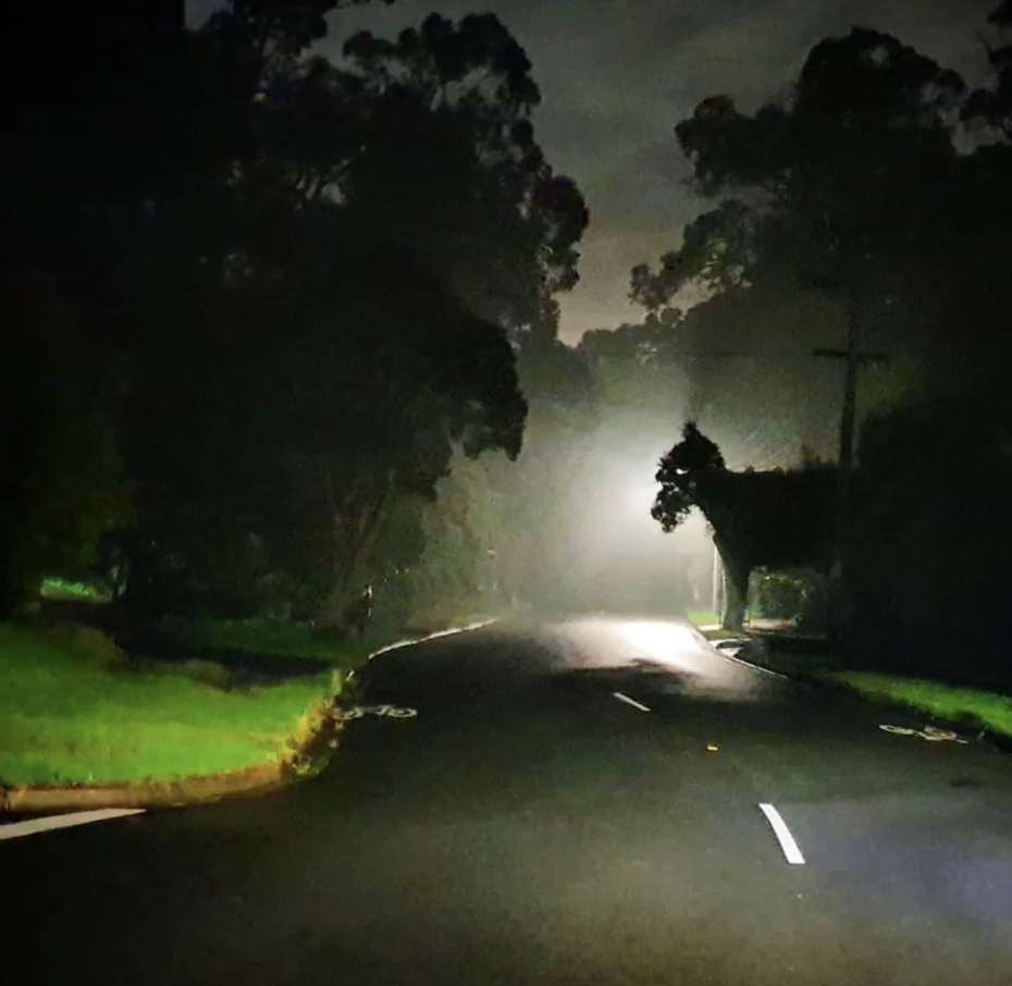 17 Skin-Crawling Photos That Made Me Feel Unsafe