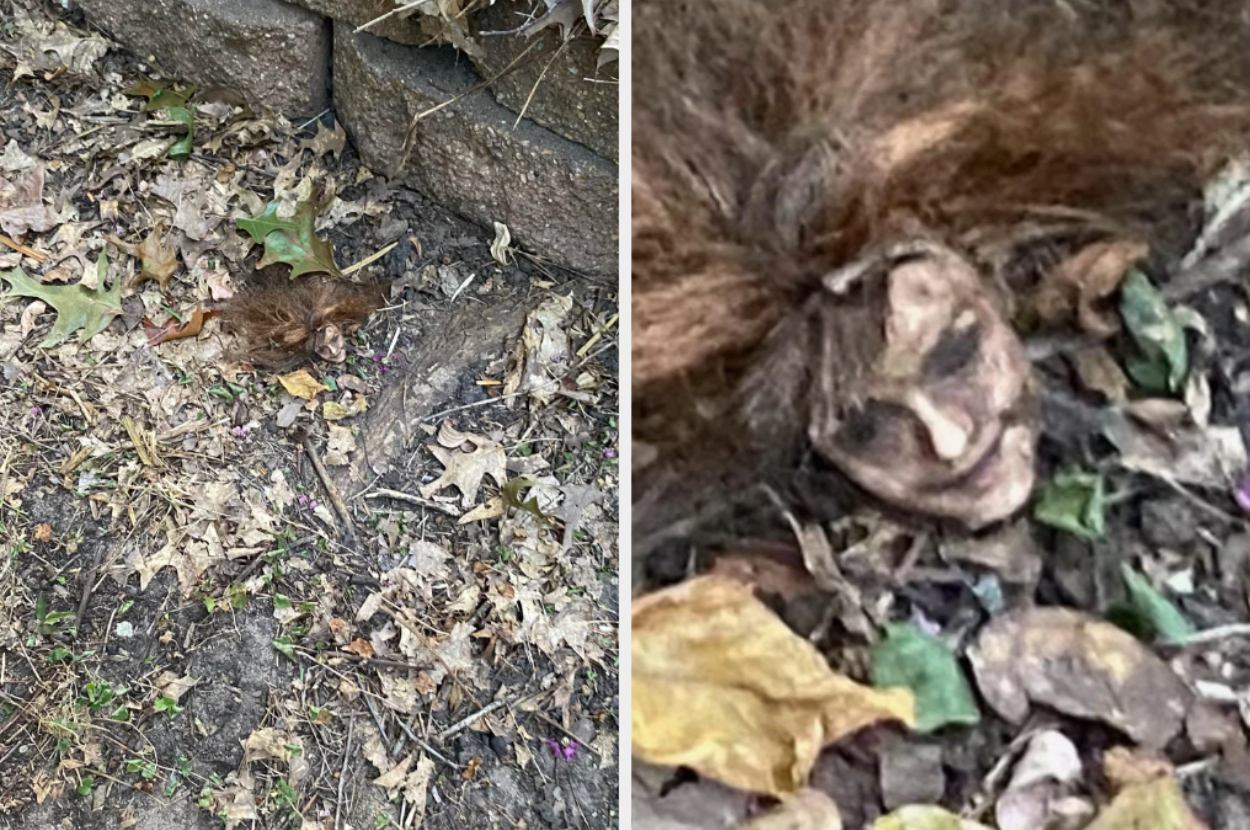 17 Skin-Crawling Photos That Made Me Feel Unsafe