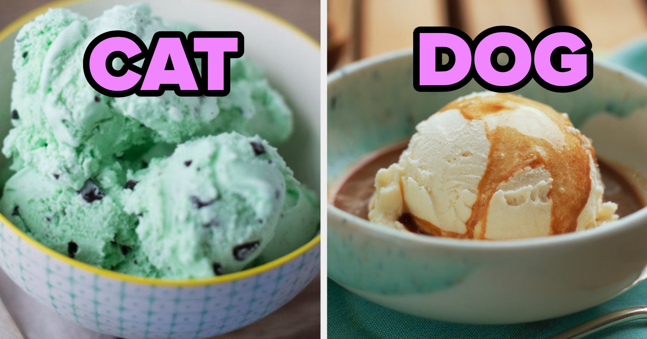 Whip Up Some Ice Cream And I'll Reveal Which Animal You Are Inside