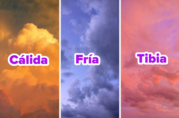 Test de personalidad cálida, tibia o fría