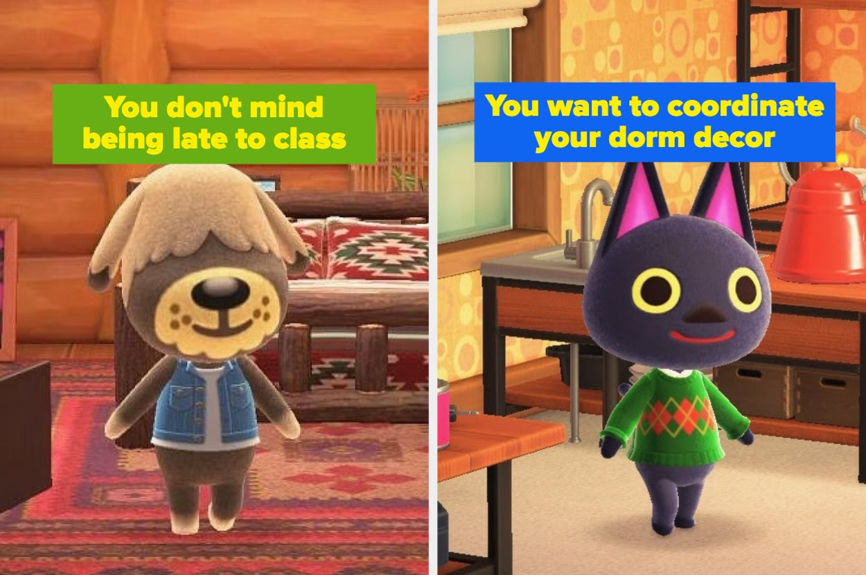 "Animal Crossing" College Roommate Quiz