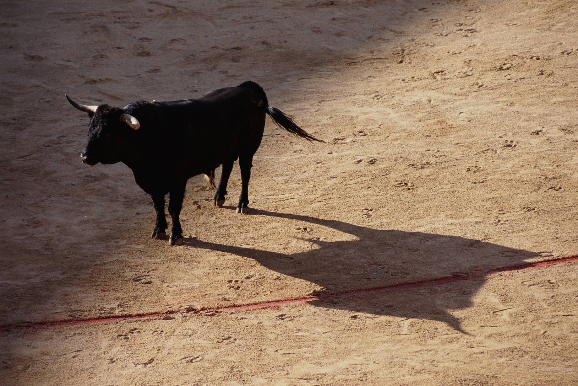 Intense Video Shows Bullfighter Getting Gored in the Butt | Complex