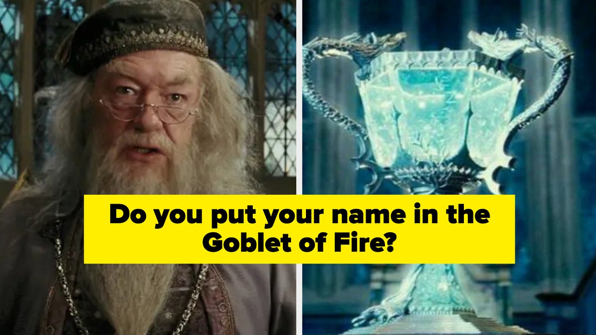 Dumbledore Goblet Of Fire Meme