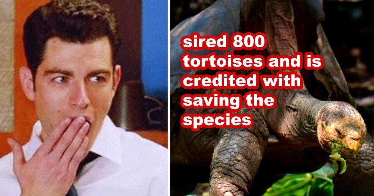 16 Sex Facts That Are Honestly Kinda Wild