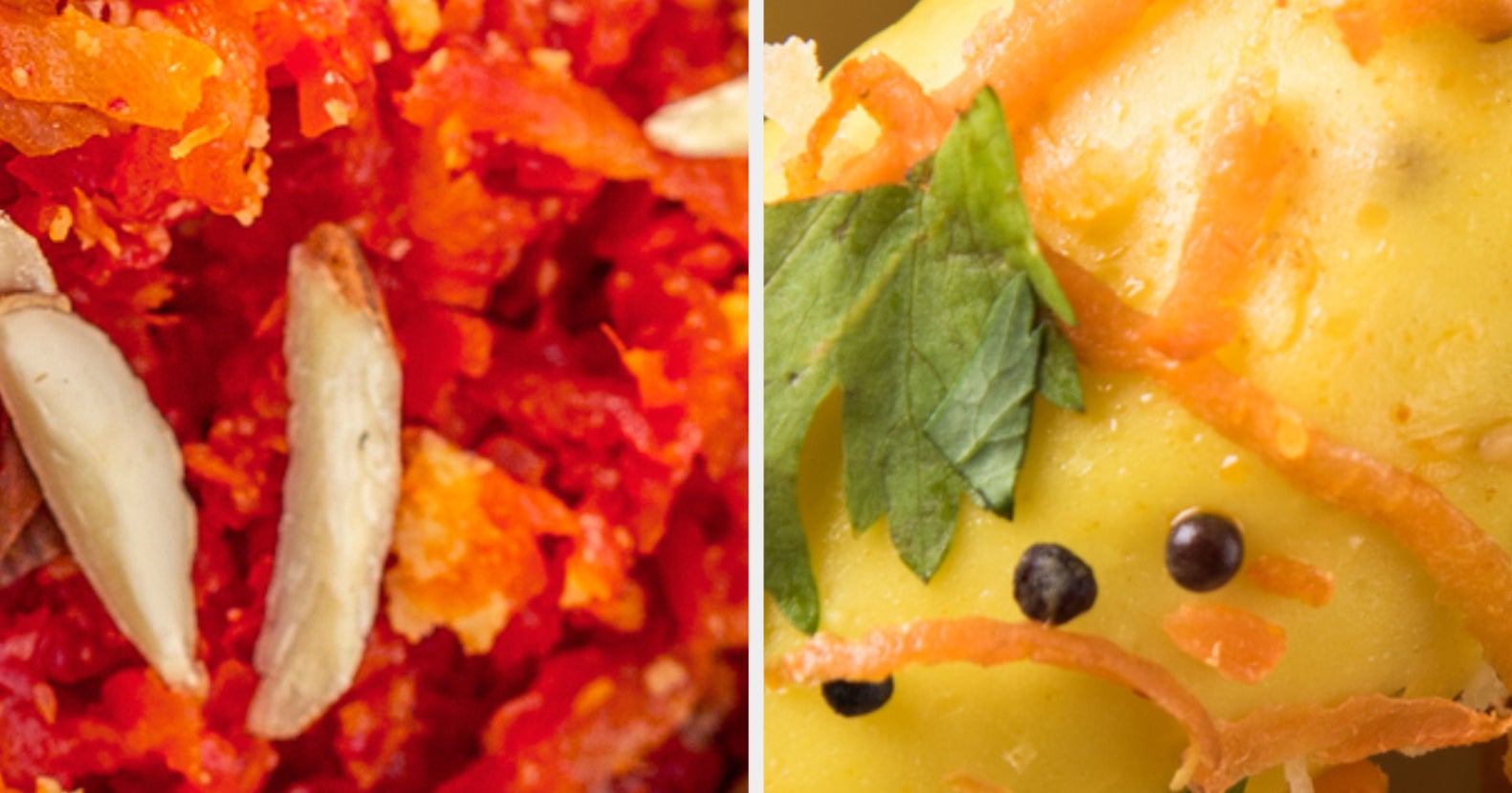 Indian Food Extreme Close Up