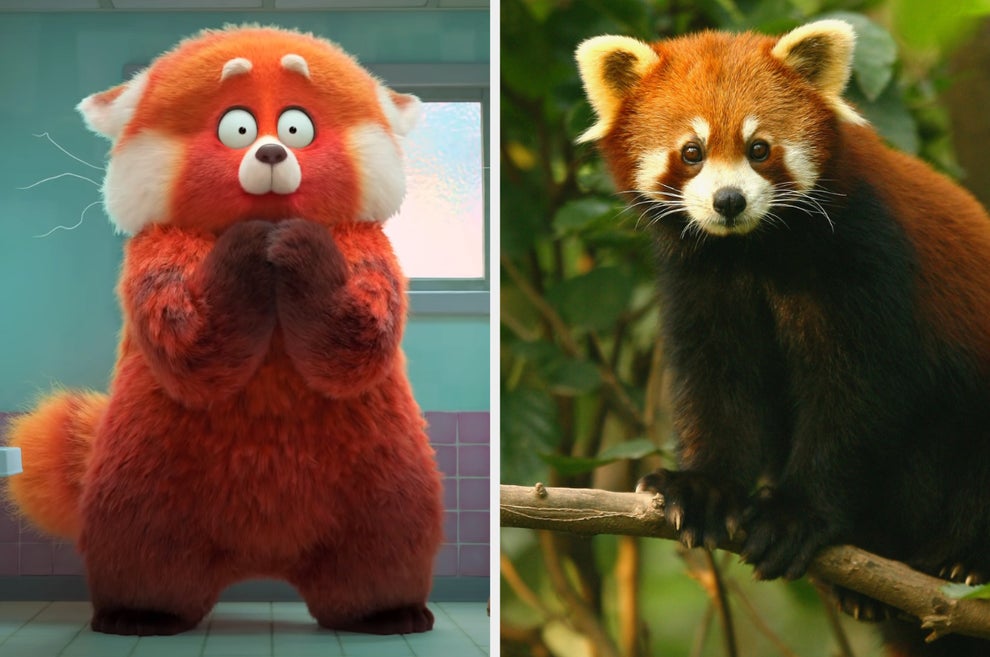 Adam Sandler In Leo And Other Actors Who Voiced Animated Animals