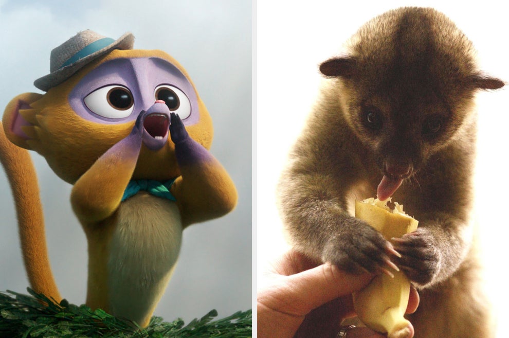 Adam Sandler In Leo And Other Actors Who Voiced Animated Animals