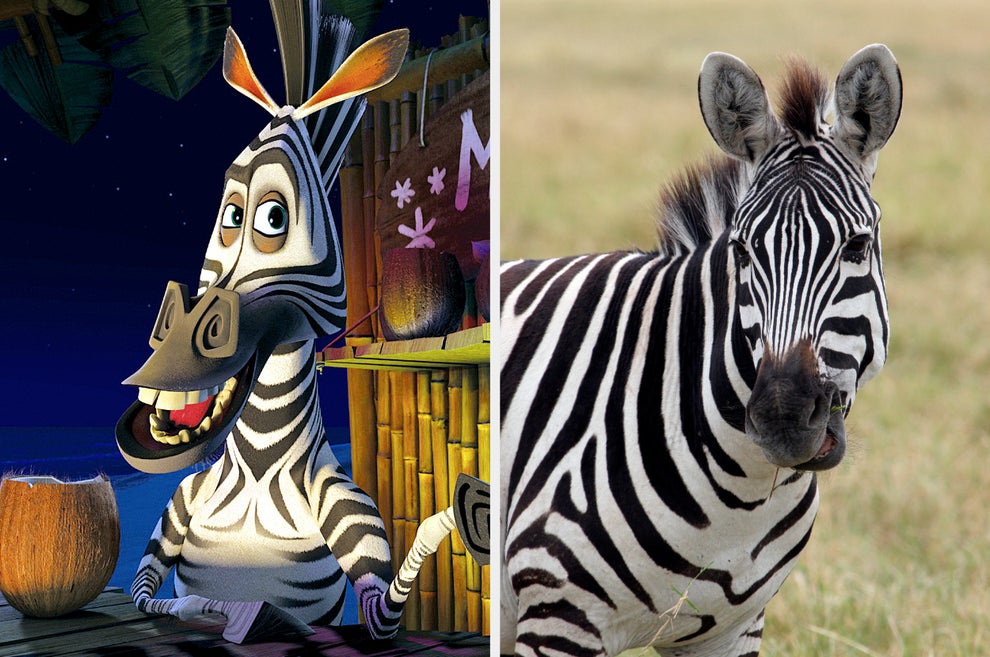 Adam Sandler In Leo And Other Actors Who Voiced Animated Animals