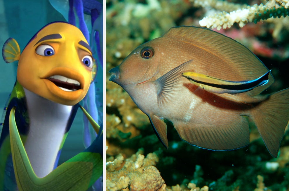 Adam Sandler In Leo And Other Actors Who Voiced Animated Animals