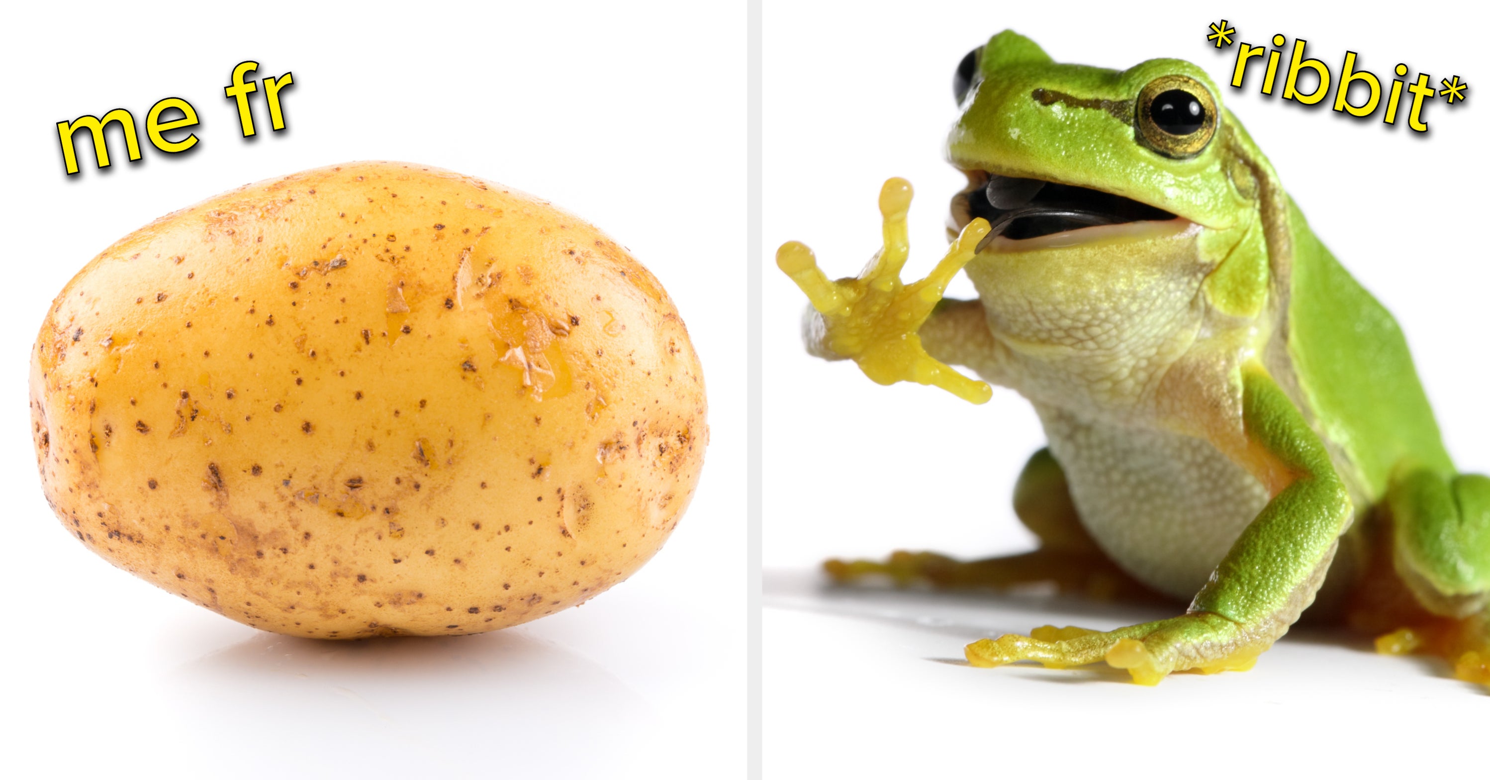 Are You A Frog Or A Potato?