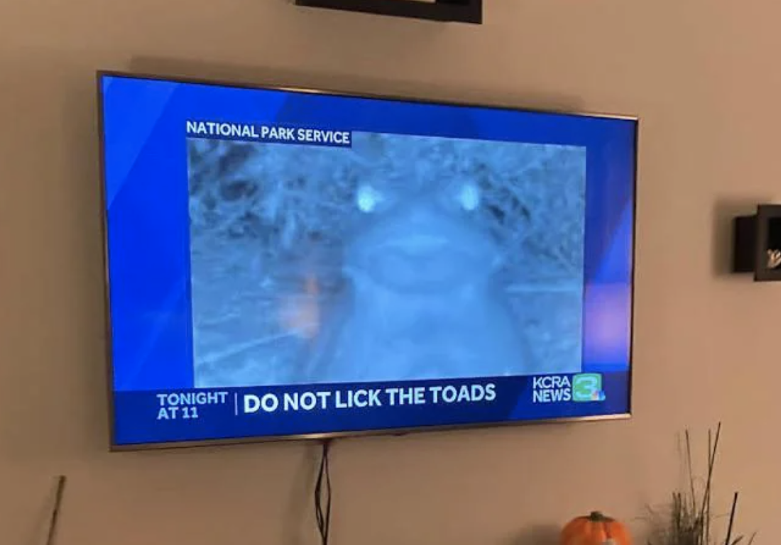 15 Weird Photos For The Easily Unsettled