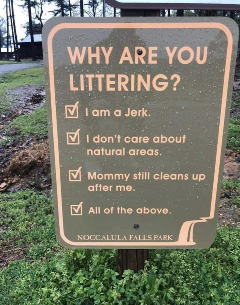 It Takes A Lot To Make Me Giggle Nowadays, But These Signs Did The Job ...