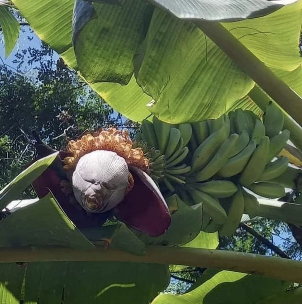 26 Creepy Photos I Feel Like I Wasn't Supposed To See Reddit