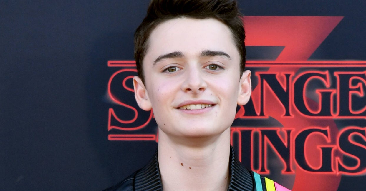 Noah Schnapp Recalls Coming Out As Gay, Twin's Reaction