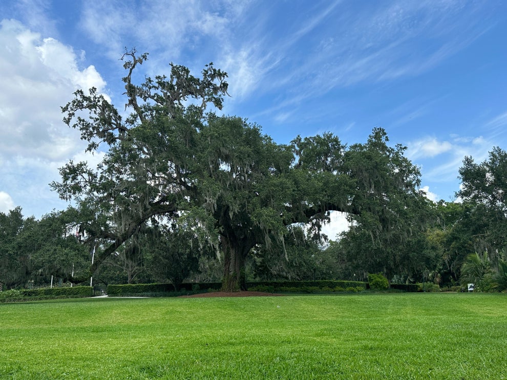 I Took A Budget-Friendly Trip To Orlando, And Here's How It Turned Out