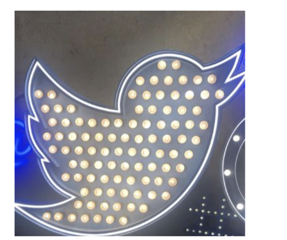 Twitter's Rebrand to "X" Includes Auction of 32 Strange Items