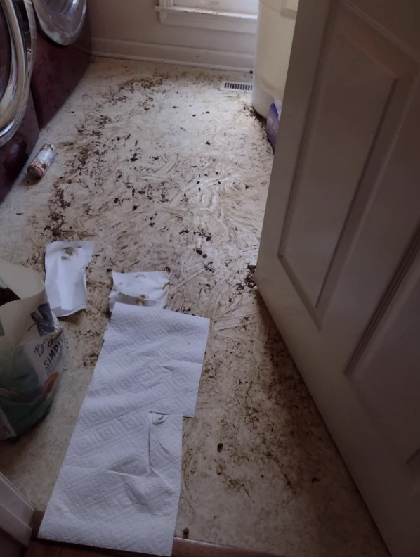 18 People Having A Bad Summer