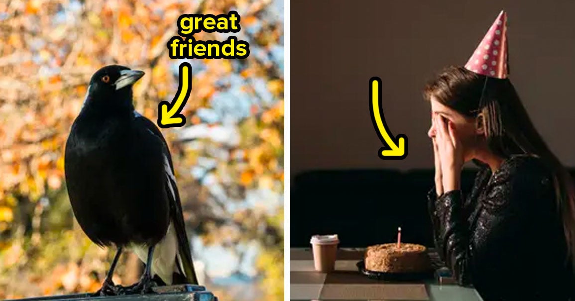 Struggles Australians Face in Building and Keeping Friendships