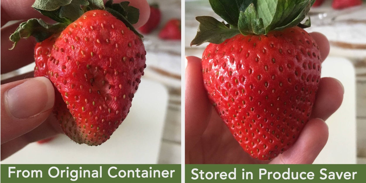 26 Products To Help Your Groceries Last Longer - Health Today Magazine