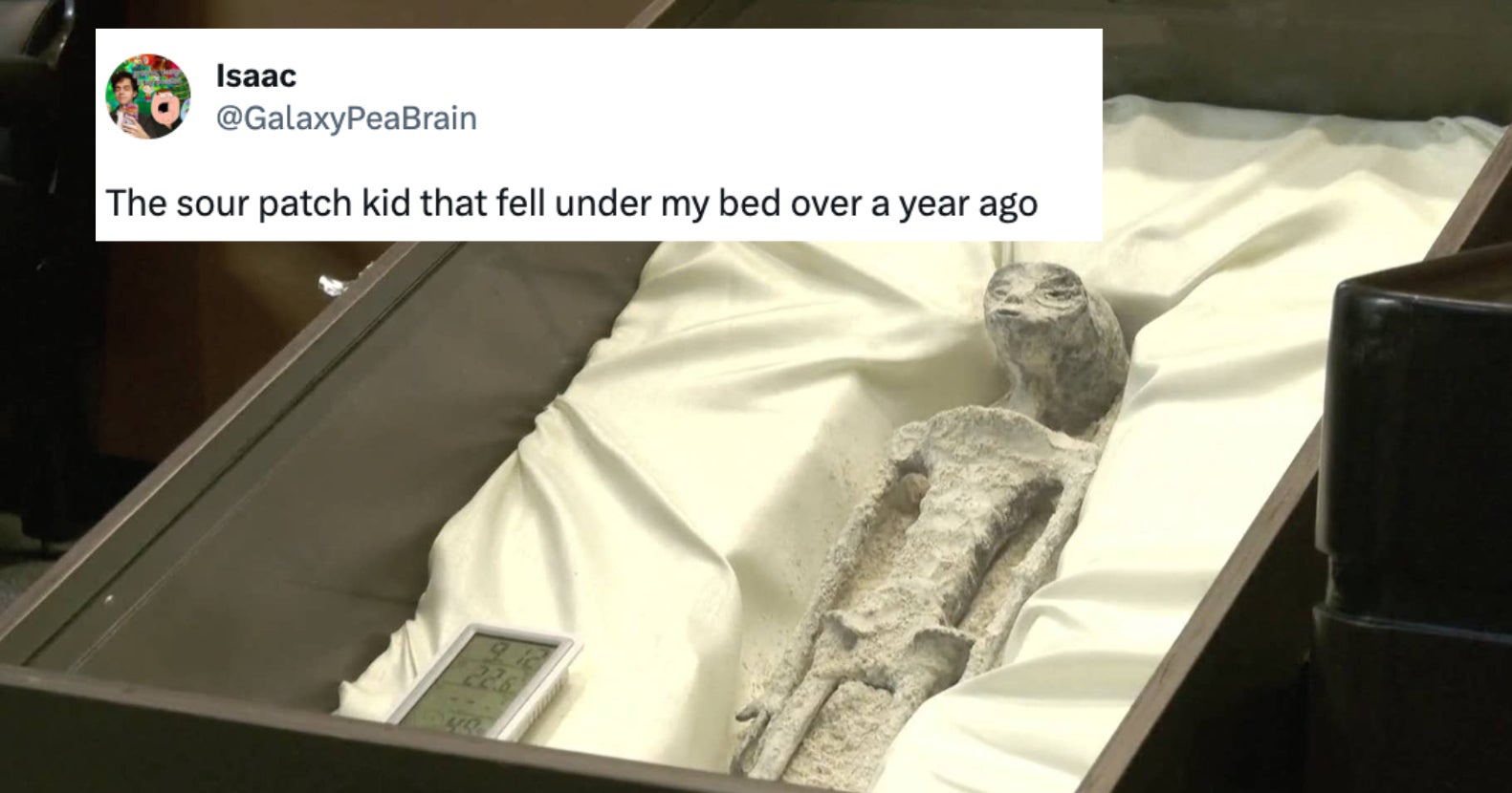 The Funniest Reactions To The Two Aliens